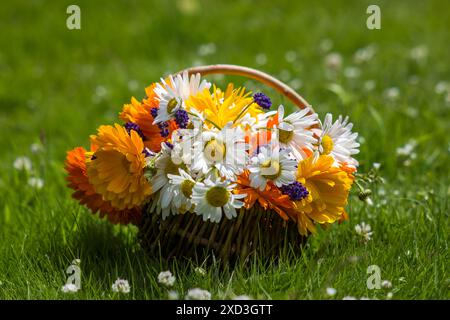 Beautiful chamomile flowers in wicker basket near white wall, closeup ...