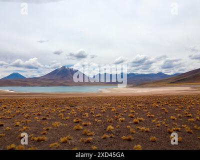 Highland lagoons, Atacama Desert, Chile Stock Photo - Alamy