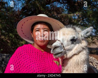 Indigenous woman of the Atacameno minority with llama, Atacama Desert ...