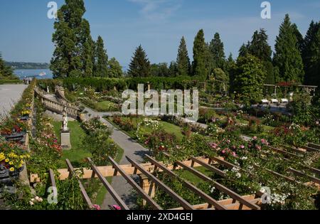 Insel Mainau, Sommer im italienischen Rosengarten *** Mainau Island ...