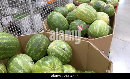 Fresh Watermelons on Display at Sams Club Stock Photo - Alamy
