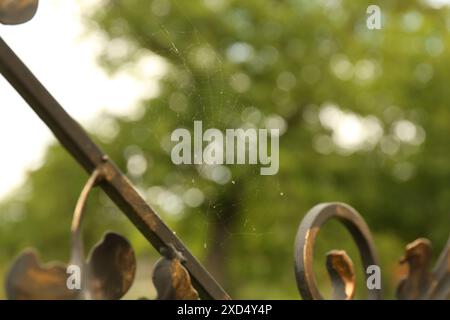 Cobweb on wrought iron fence scrolls outdoors, closeup Stock Photo - Alamy