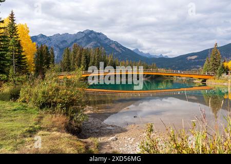 Nancy Pauw Bridge, Town of Banff Central Park yellow trees reflected on ...