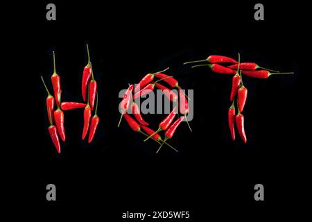 red chili peppers forming the word hot black background Stock Photo - Alamy