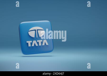 TATA Group logotype isolated on white background. 3d illustration Stock ...