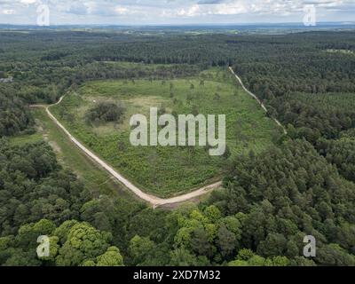 General aerial view of Swinley Forest near Bracknell, Berkshire, UK ...