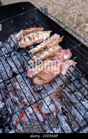 Grilled meat barbecue with chicken at Les Alleuds in Anjou in the Maine ...