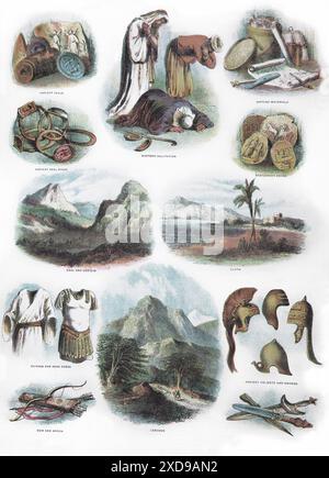 Page from A Holy Bible Depicting the High Priest with an Aaronite, The ...