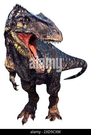 3D rendering of a dinosaur gigantosaurus isolated on white background Stock Photo - Alamy