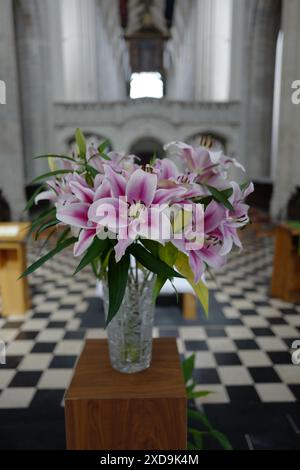 St. Peter's Church in Leuven, Belgium Stock Photo - Alamy