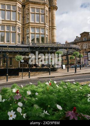 Bettys Café Tea Rooms / Traditional tearoom in Harrogate Yorkshire ...