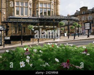 Bettys Café Tea Rooms / Traditional tearoom in Harrogate Yorkshire ...