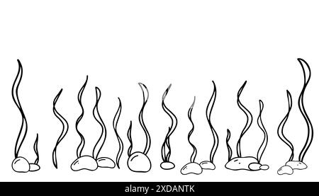 Horizontal Seabed, Marine Composition. Seaweeds and Stones. Hand drawn ...