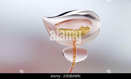 urinary or excretory system, detailed male bladder and prostate gland ...