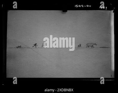 Eskimo hunting scene. Genthe photograph collection Stock Photo - Alamy