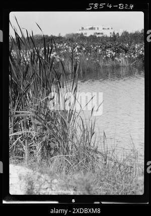 Grounds of "The Shallows," property of Lucien Hamilton Tyng ...