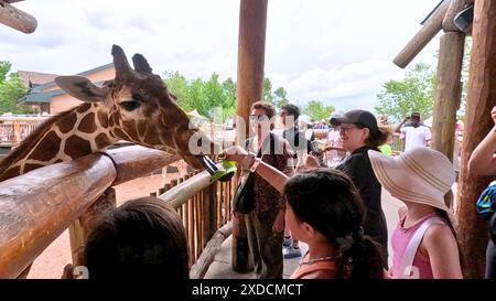 Interactive Zoo Experience in Colorado Springs, Colorado Featuring ...