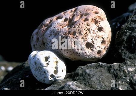 White chaulk stone Stock Photo - Alamy