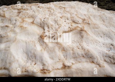 European Alpine snowpack has taken on the typical reddish colour of ...