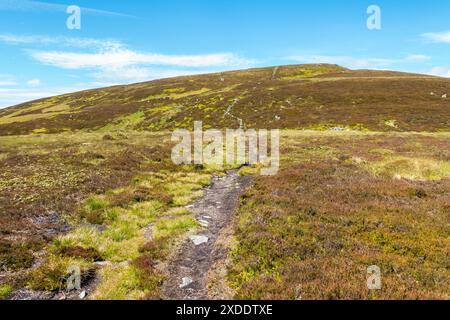 The path up the Corbett mountain of Morven near Logie Coldstone ...