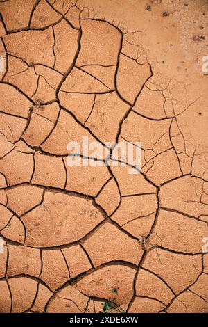 Takir, takyr soils. Landform, drying out saline soil in desert. Drying ...