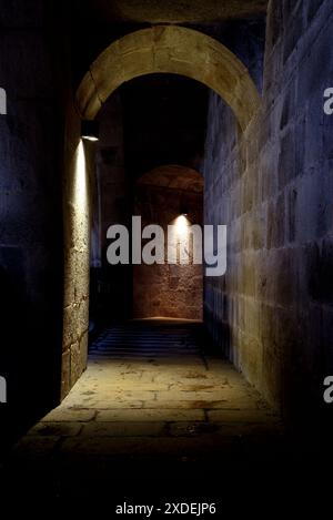 Interior of the monastery of San Salvador of Celanova, Ourense, Spain ...