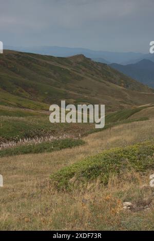 borjom kharagauli park views beautiful Stock Photo - Alamy