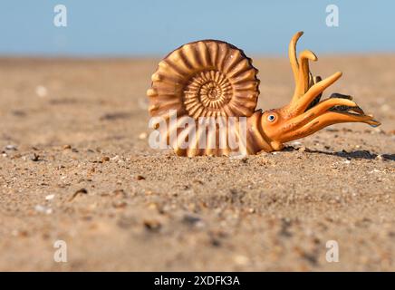 Realistic fake Ammonite on a beach Stock Photo - Alamy
