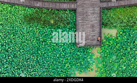 Fuping. 21st June, 2024. A drone photo taken on June 21, 2024 shows ...