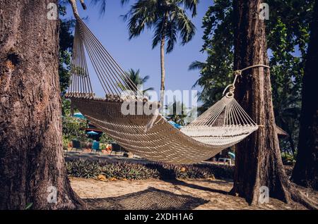 Comfortable swings between two trees in the shadow Stock Photo - Alamy