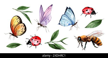 Watercolor ladybug and dragonfly illustration set, cute garden insects ...