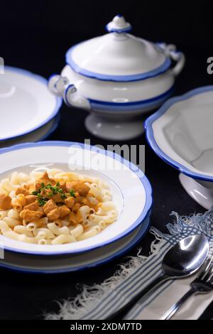 Traditional czech dish, chicken with paprika creamy sauce with pasta ...