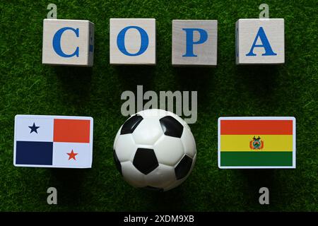 June 18, 2024, Miami, USA. Flags of the participating teams of the ...