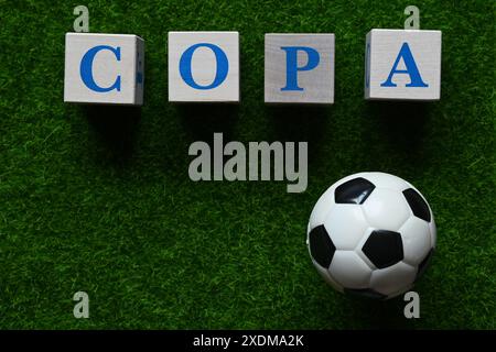 June 18, 2024, Miami, USA. A soccer ball on a green lawn. Copa America ...