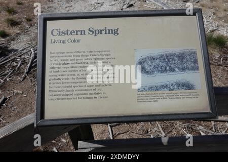 Cistern hot springs in the Norris Geyser Basin,Yellowstone national ...