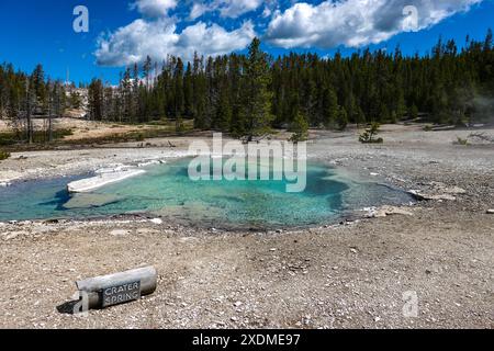 Crater Spring in the Back Basin of the Norris Geyser Basin in ...