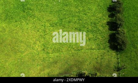 Aerial Photograph of Burwen Castle Roman Fort which is a registered ...