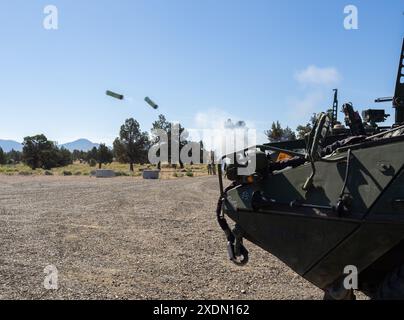 A Troop M1127 Reconnaissance Vehicle (RV) Strykers simultaneously ...
