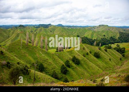 Tahora Saddle - New Zealand Stock Photo - Alamy