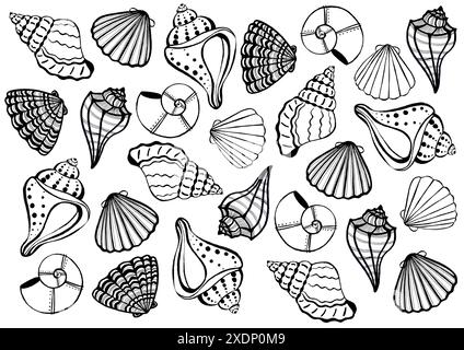 Set with seashells in black outline on white background. Different ...