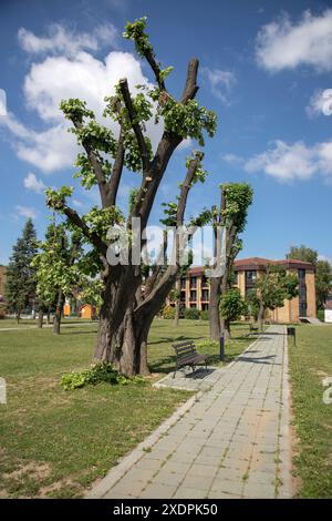 Riverside promenade along the Danube in Bratislava, Slovakia Stock ...