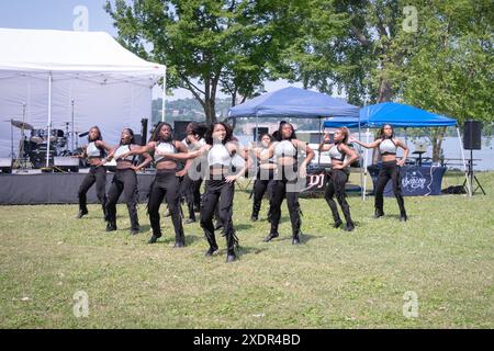 The Sapphire Dance line who accompanied the Cobra Marching Band at the ...