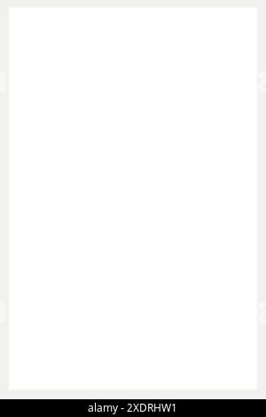 polaroid card blank on the png backgrounds Stock Vector Image & Art - Alamy