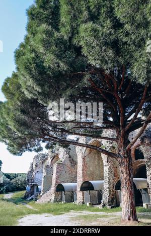 Roman amphitheatre in Frejus, on the French Riviera Stock Photo - Alamy