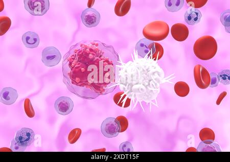 Dendritic cell recognize Acute myeloid leukaemia (AML) cell - closeup ...