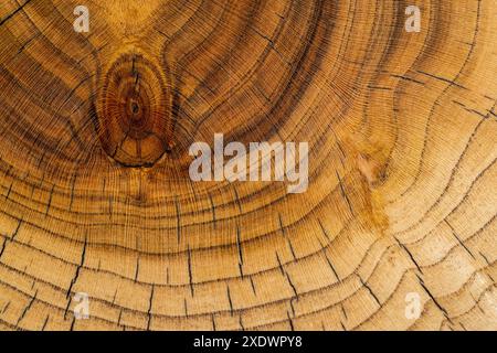 a beautiful cut of a walnut tree processed for decoration and use, a ...