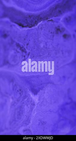 Defocused emulsion spill. Acrylic ink. Blue purple pink color flow oil ...