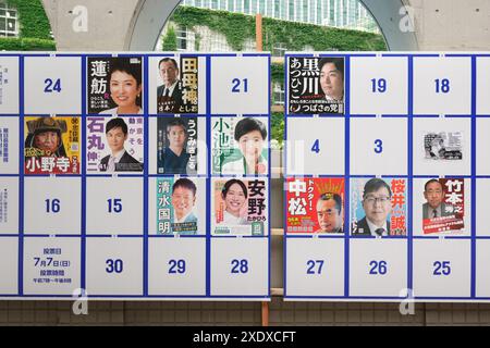 Tokyo, Japan. 24th June, 2024. A general view of an election poster ...