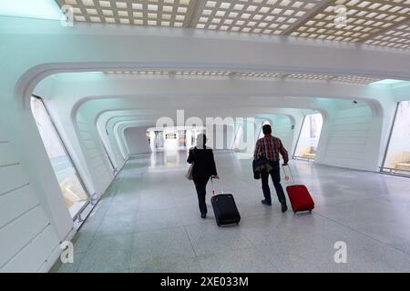 Bilbao Airport by Santiago Calatrava architect. Loiu. Bizkaia. Basque ...