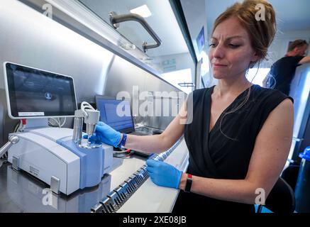 25 June 2024, Mecklenburg-Western Pomerania, Lärz: Laboratory manager ...